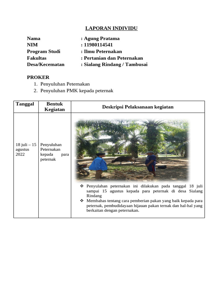 laporan individu 1 (1) | PDF