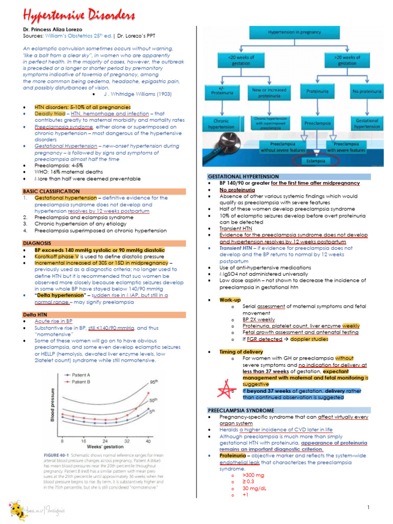 Insignis OB Hypertensive Disorders | PDF