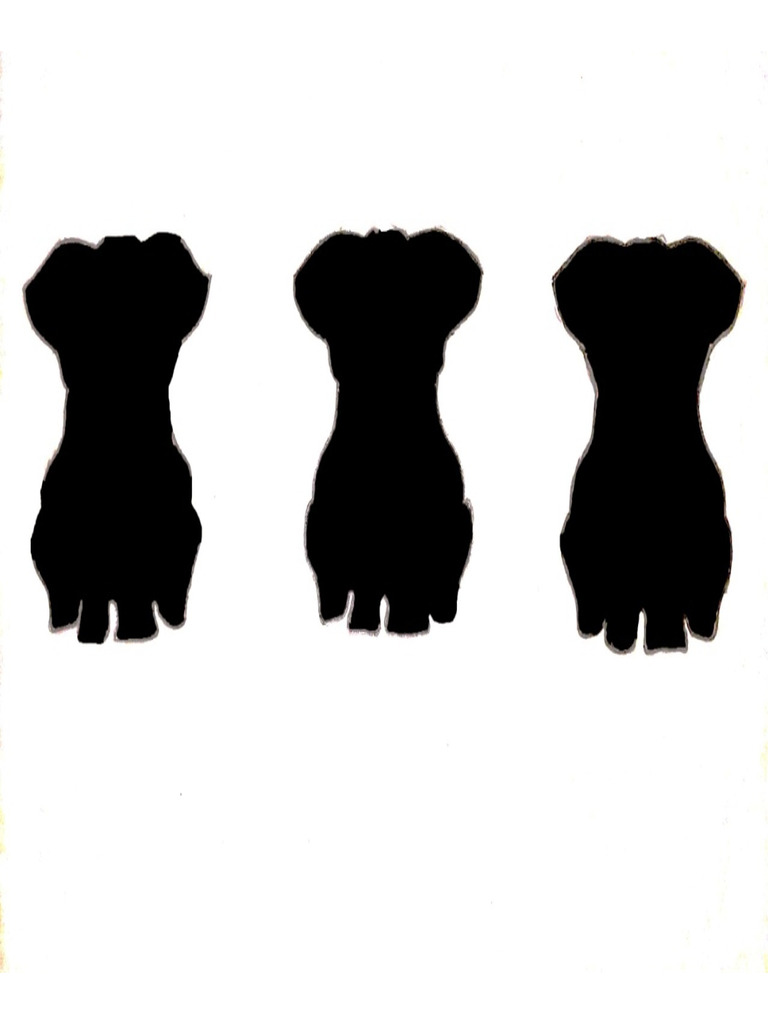 21 Form Transition | PDF