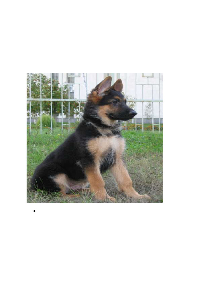 Example Laboratory Work 5 | PDF