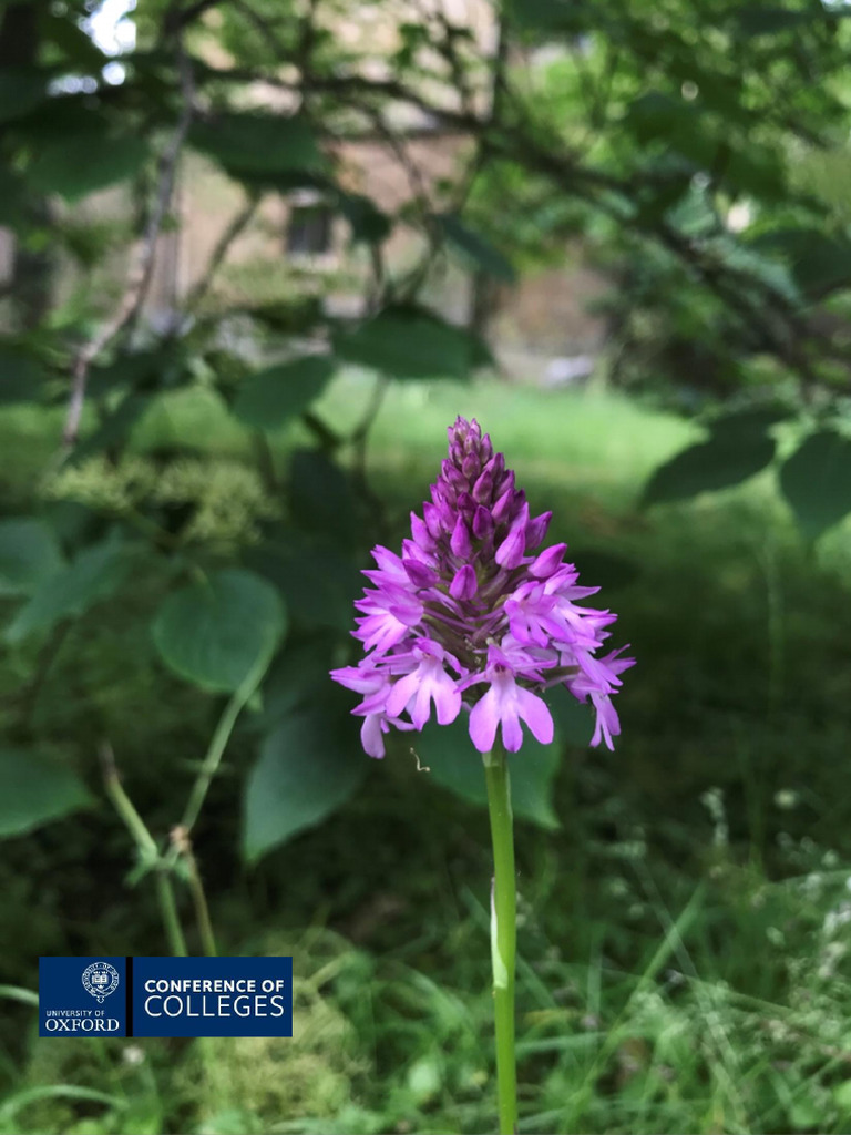 Sustainability Working Group Report 2022 - PUBLIC | PDF