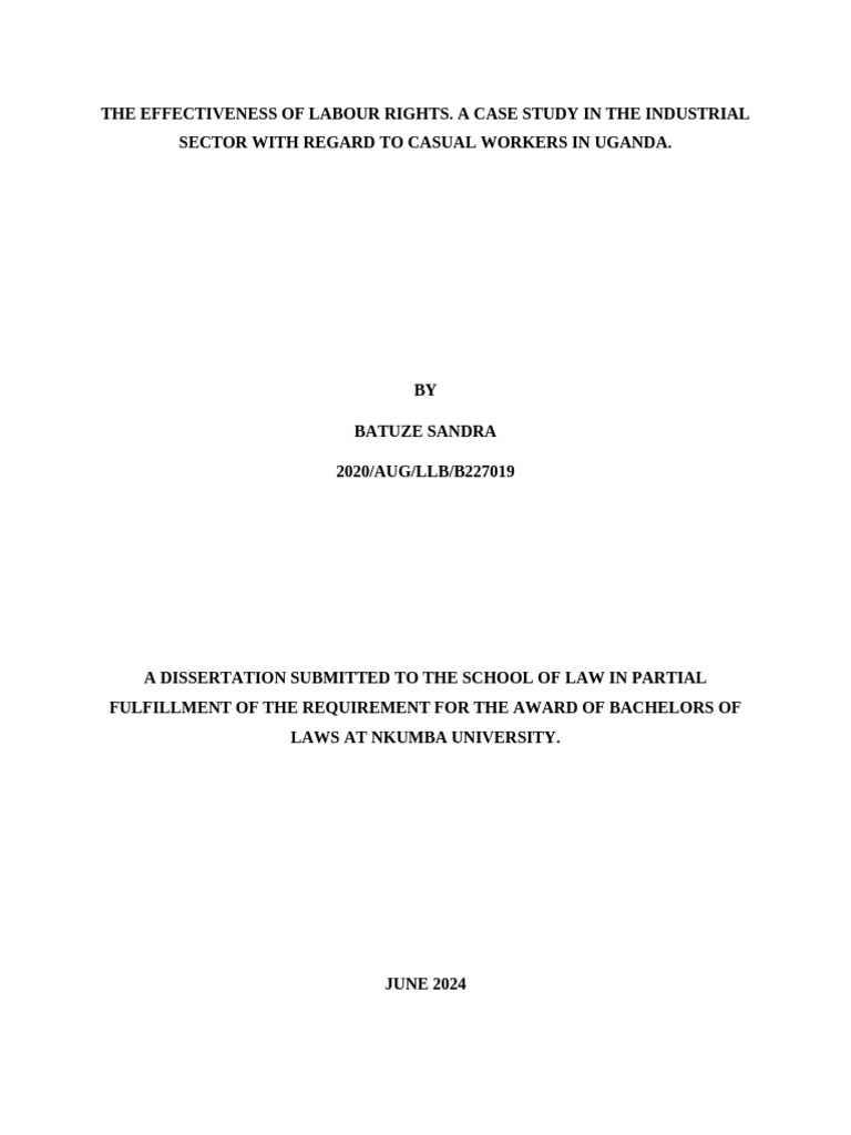 Dissertation 2024 | PDF