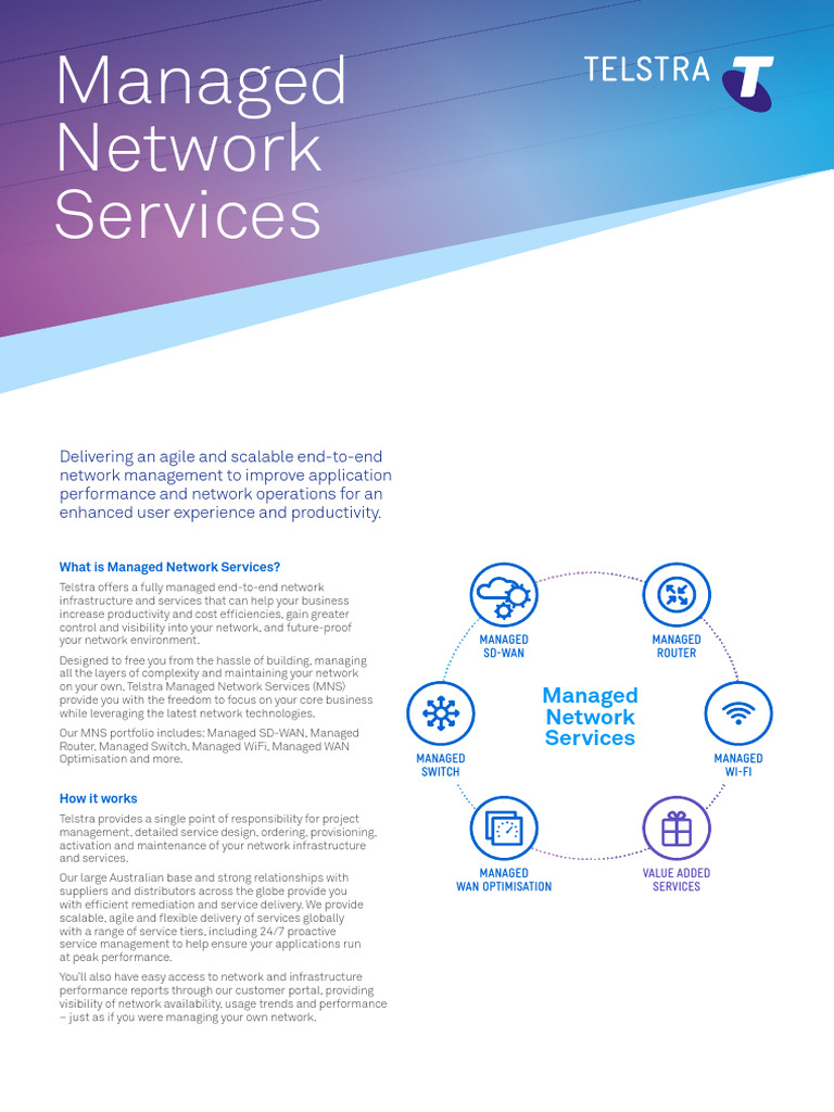 Managed Network Services Data Sheet | PDF