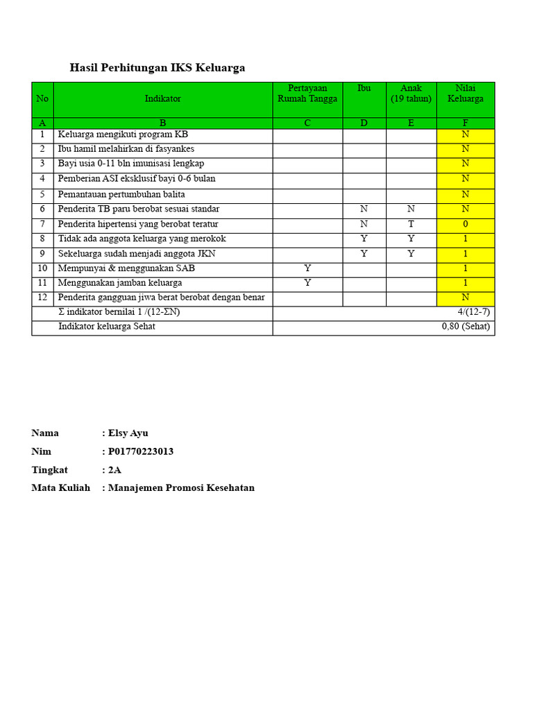 Hasil Perhitungan IKS Keluarga - Elsy | PDF