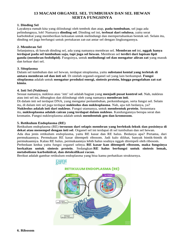 13 Macam Organel Sel Tumbuhan Dan Sel Hewan | PDF