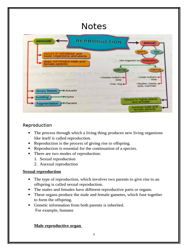 Reprodution in Animal Notes | PDF