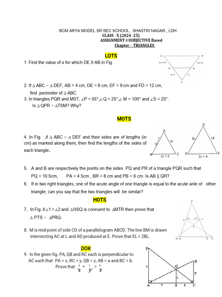 672-C-21117-Subjective Assignment of Triangles | PDF