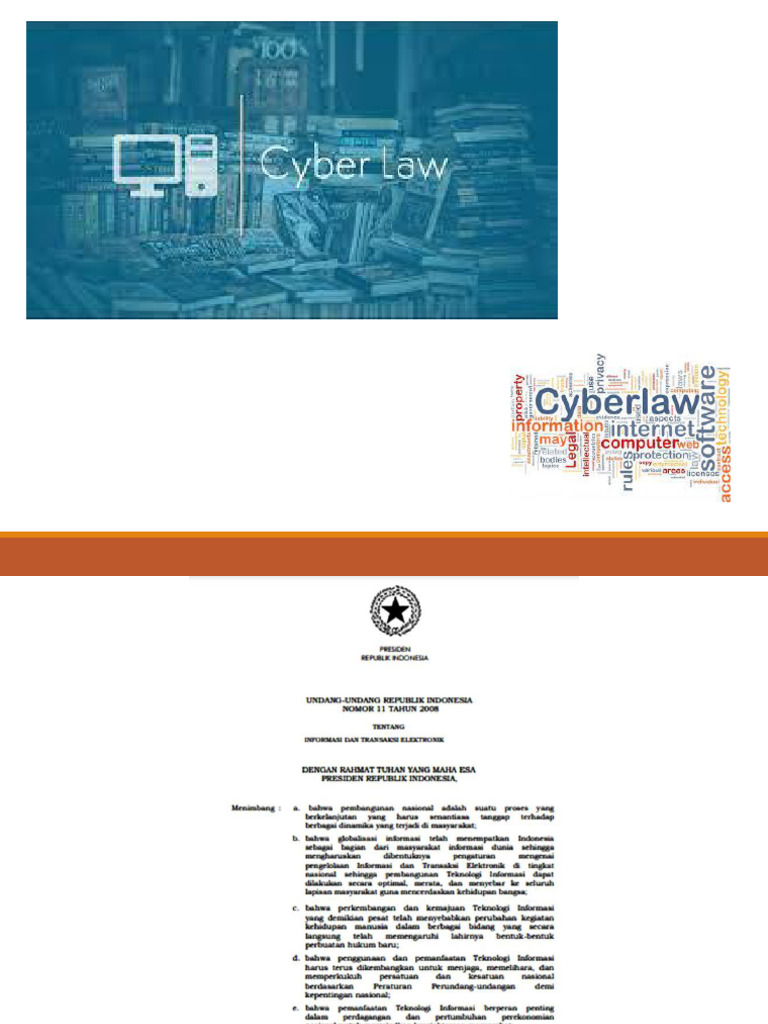 Cyber Law PDF | PDF