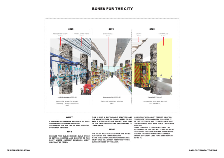 Carlos Tolosa Tejedor First Task 150 Words A4 | PDF