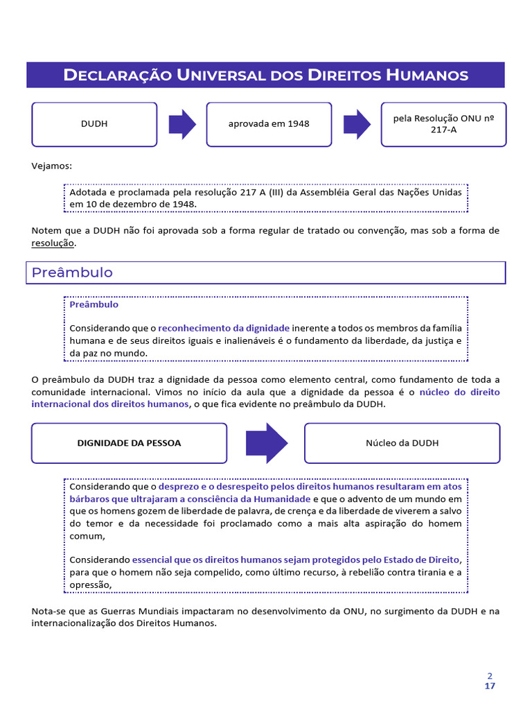 DUDH Esquematizada | PDF