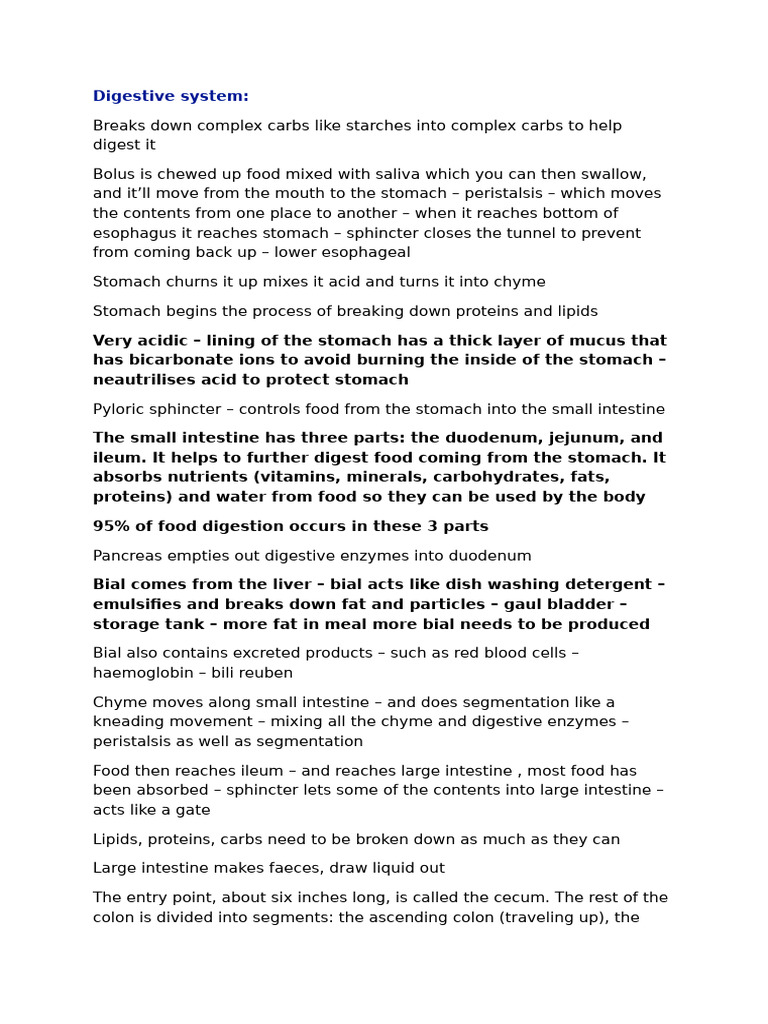 Digestive System | PDF