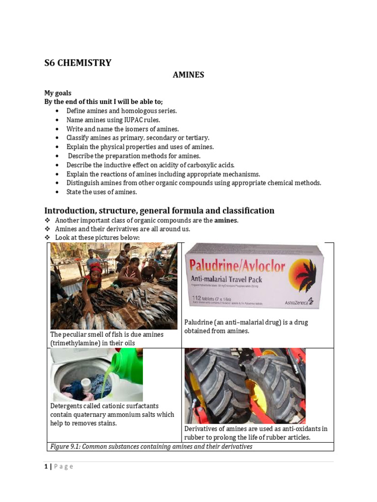 S6 Chem Notes (Amines) | PDF