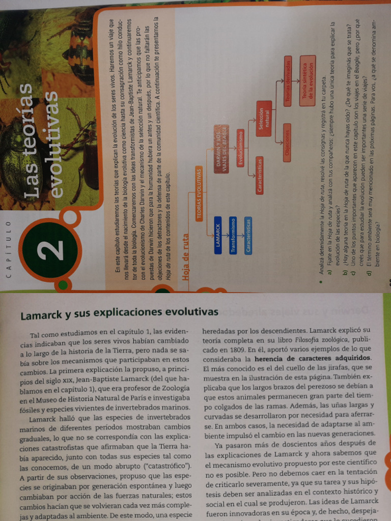 Capitulo 2 Santillana | PDF