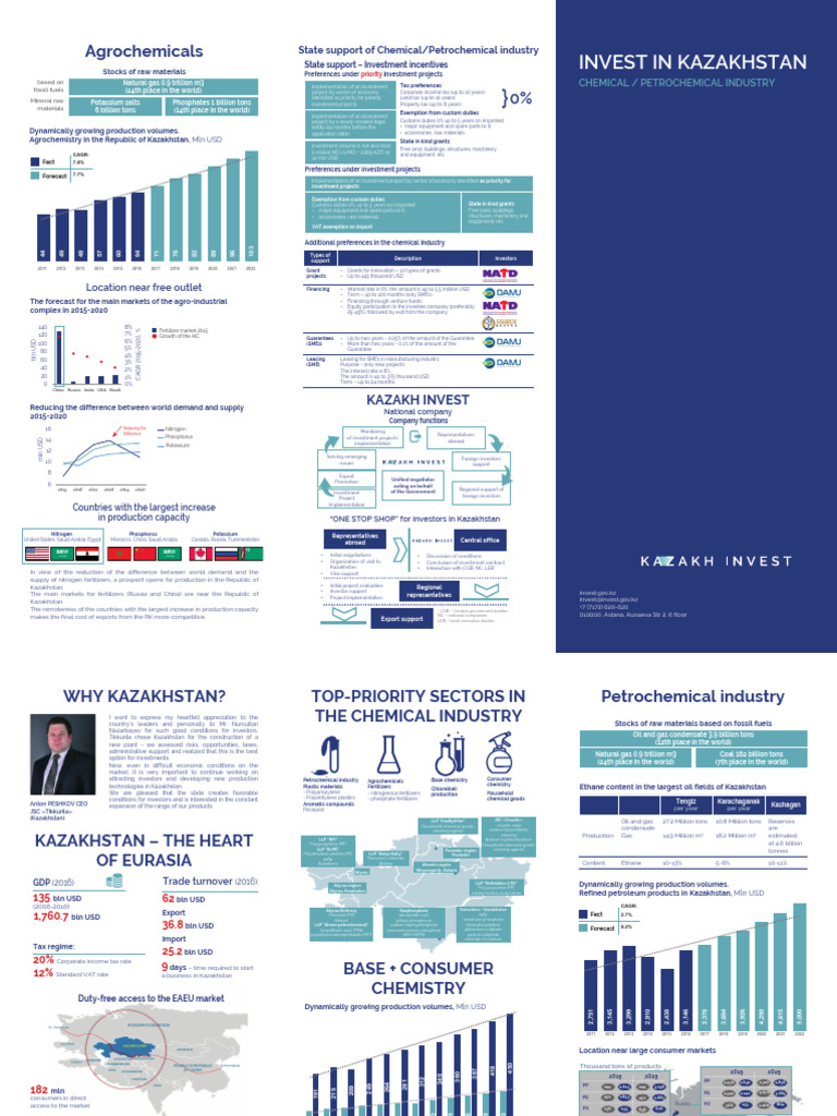 Chemicals Infographic | PDF | Economies | Chemical Substances