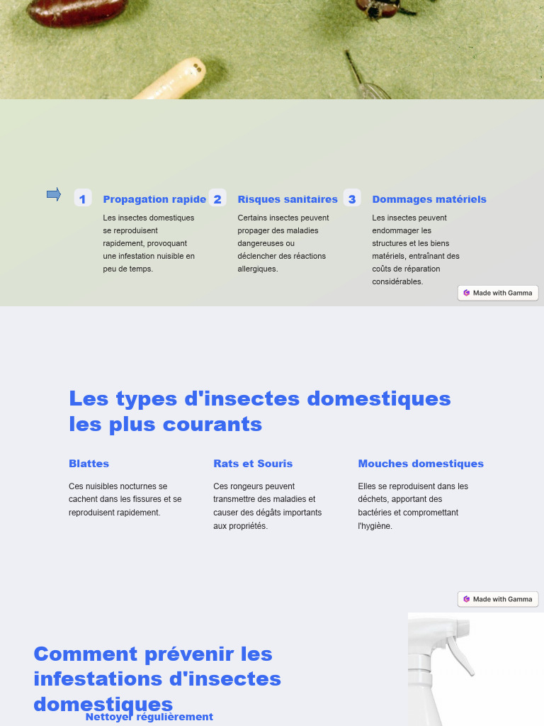 Exemple | PDF