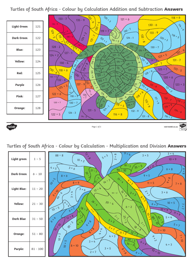 Turtles of South Africa - Colour by Calculation - Answers | PDF