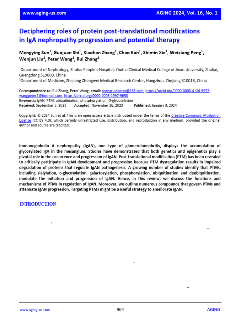 Deciphering Roles of Protein Post-Translational Modifications in IgA Nephropathy Progression and ...