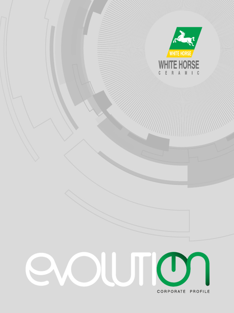 Company Profile | PDF