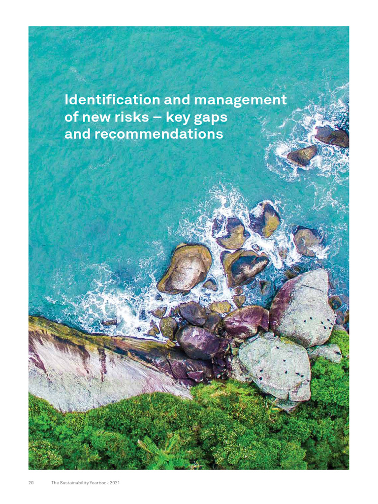 Identification and Management of New Risks - Key Gaps and ...