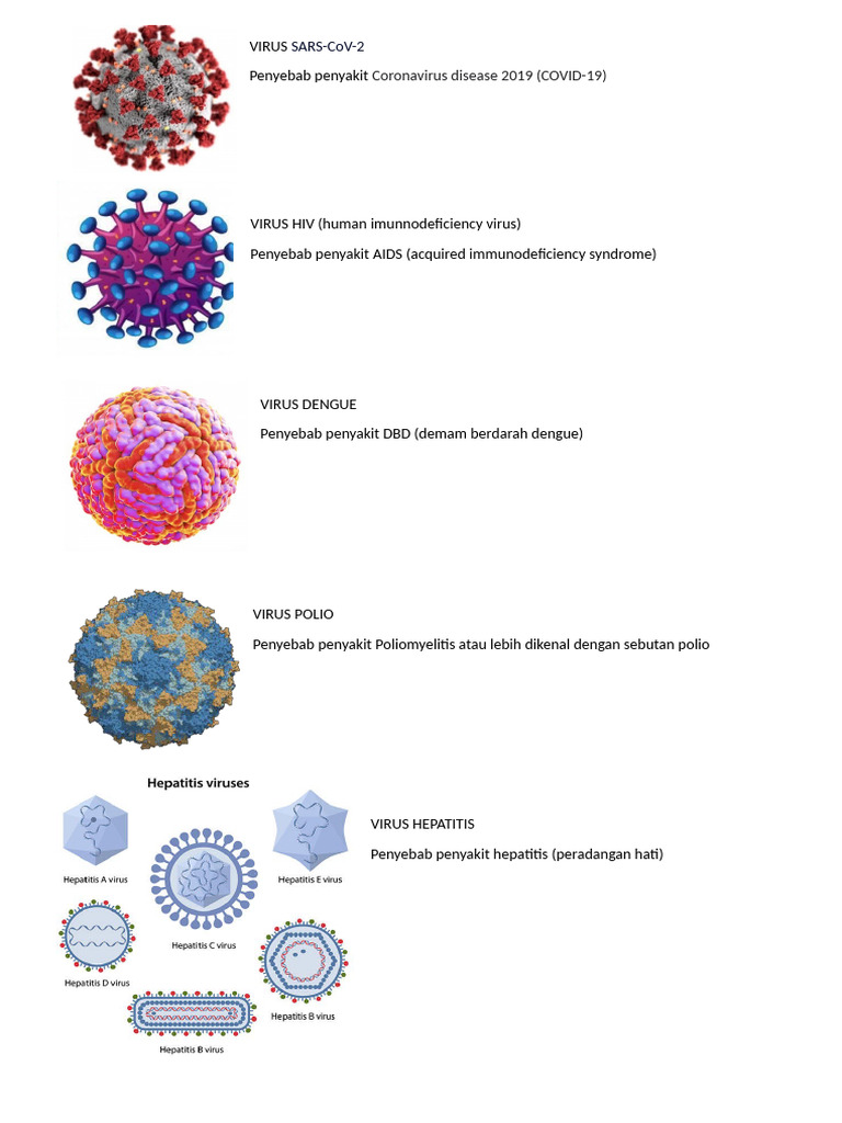 Viruses | PDF