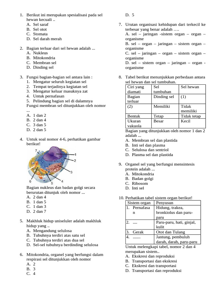 Uh Pengenalan Sel V.1 | PDF