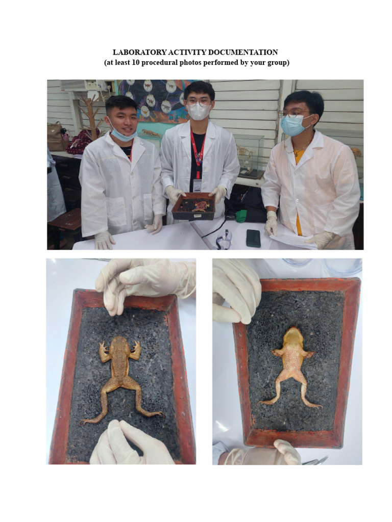 Bio - Laboratory Documentation | PDF