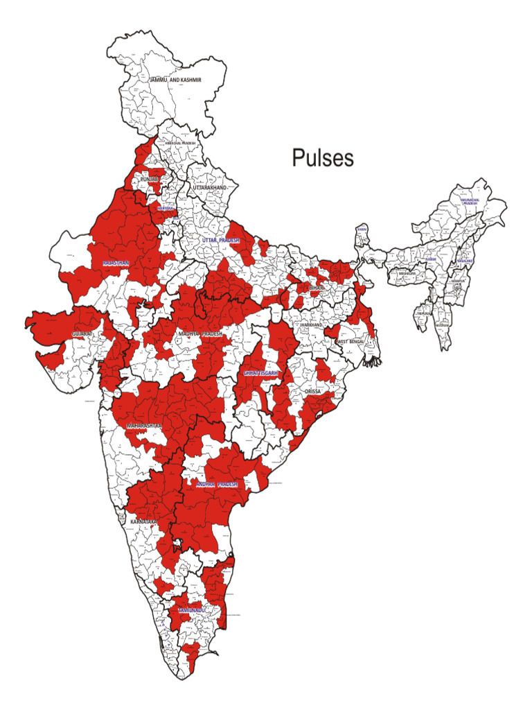 Pulse India | PDF