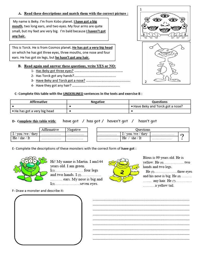 Have Got Worksheet | PDF