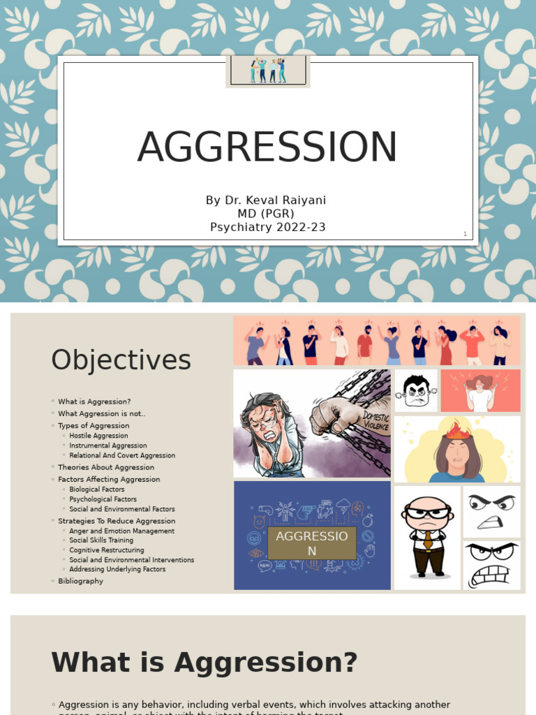 Aggression | PDF