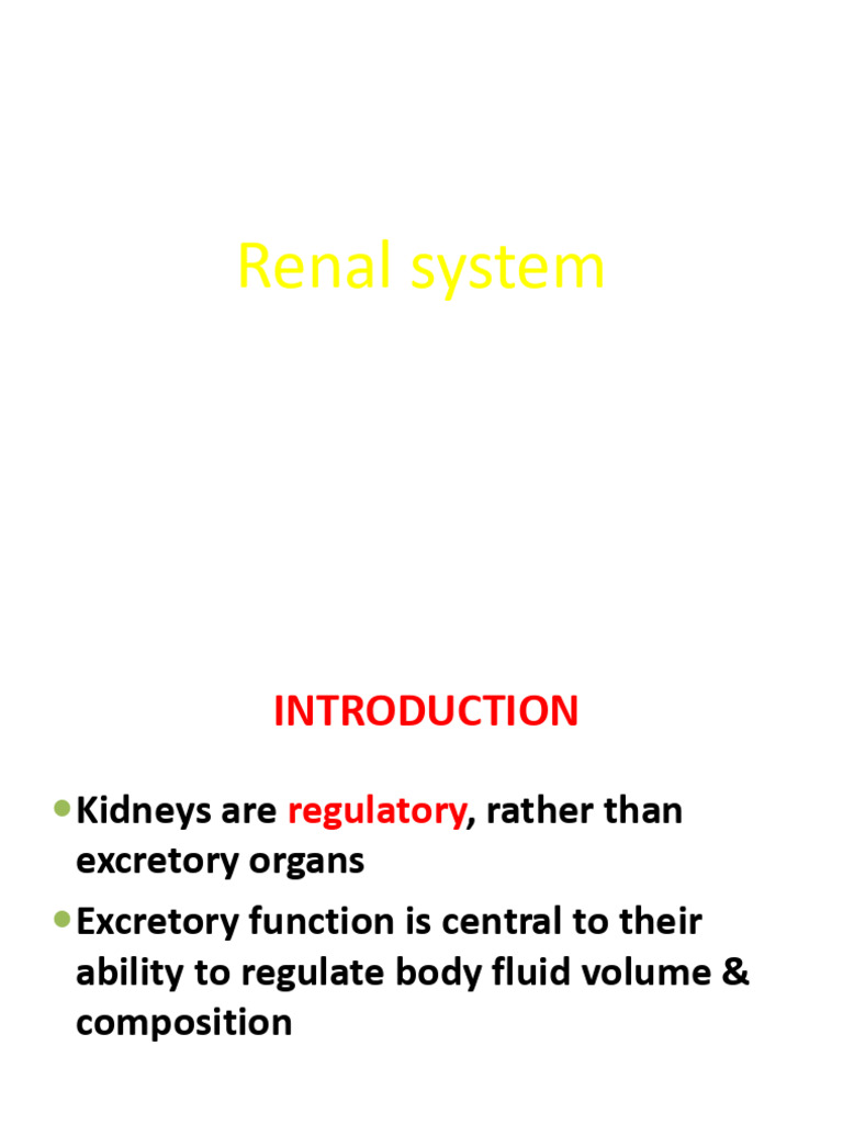 Introduction To Renal Physiology | PDF | Kidney | Urinary System