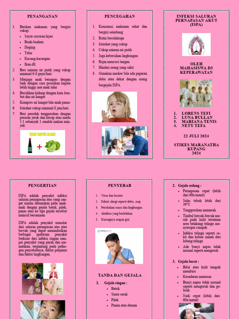 Leaflet Ispa Revisi 2 | PDF