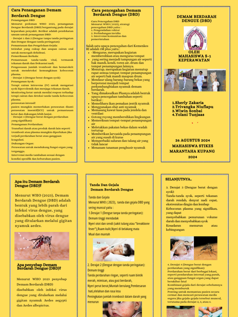 Leaflet Revisi DBD | PDF