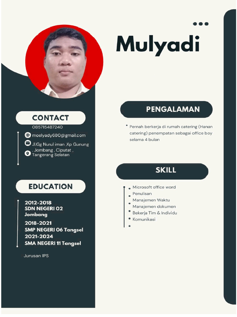 CV Mulyadi | PDF