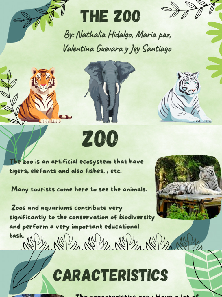 The Zoo | PDF