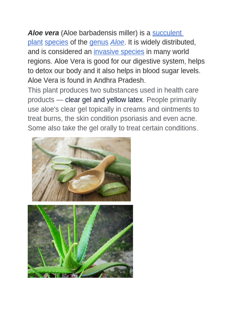 Aloe Vera | PDF