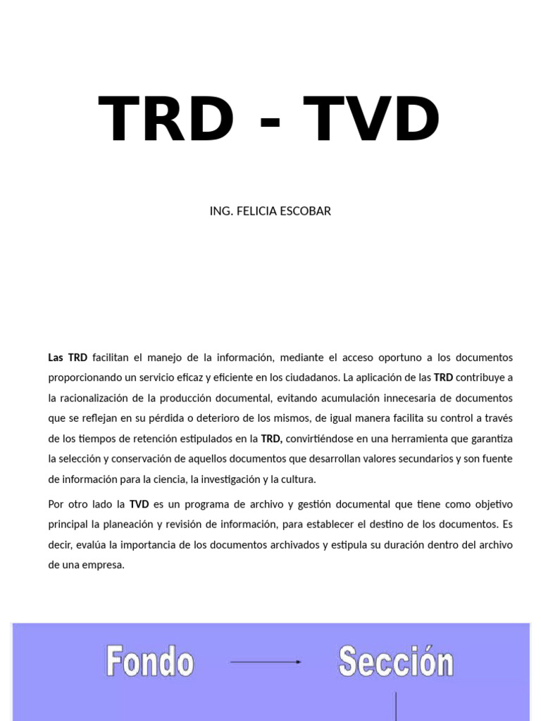 TRD - TVD: Ing. Felicia Escobar | PDF