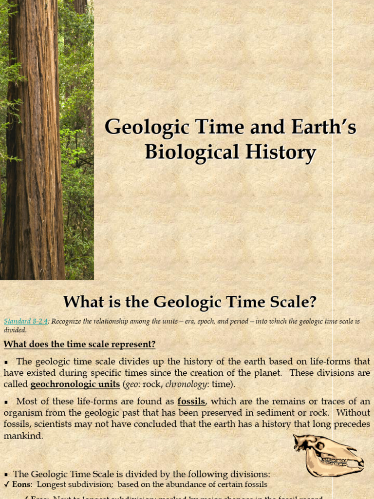 Geologic Time | PDF