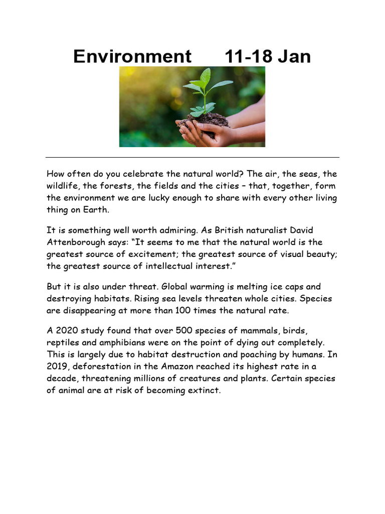 Environment Sheet Yr6 | PDF