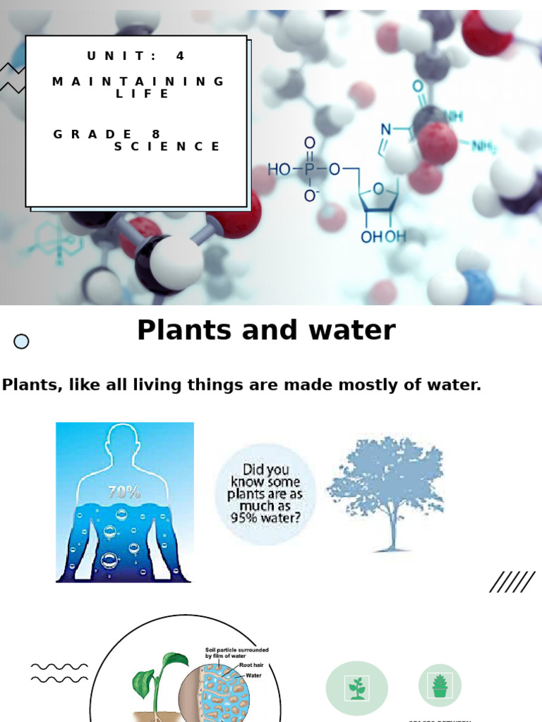 Grade 8 unit 4 | PDF