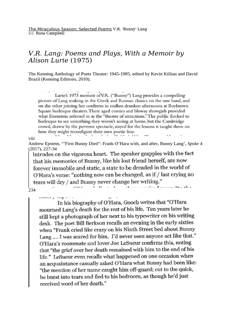 Andrew Epstein On Bunny Lang | PDF