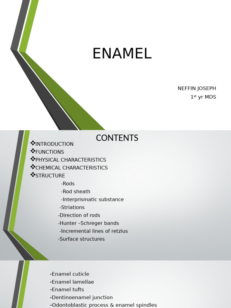 Enamel | PDF
