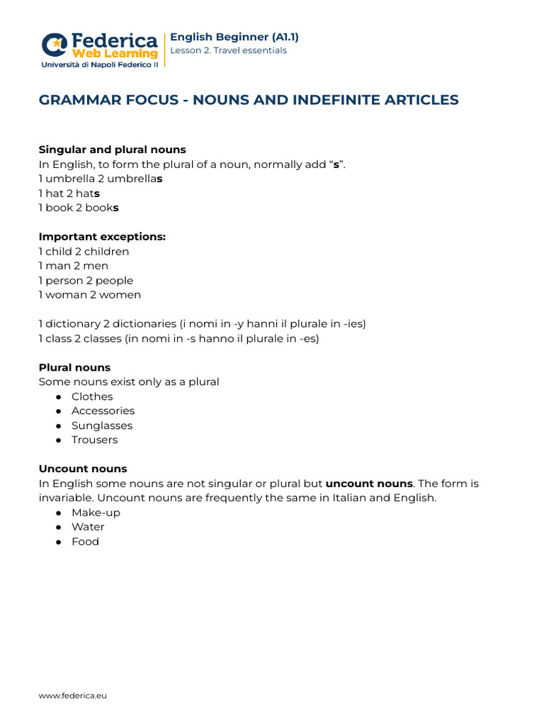 Lesson 2-Grammar_Nouns and articles | PDF