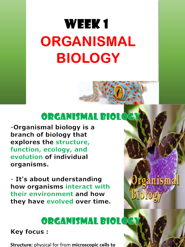 Introduction to Organismal Biology | PDF | Blood | Reproduction
