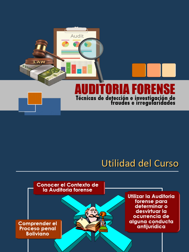 DIAPOSITIVAS AUDITORIA FORENSE | PDF