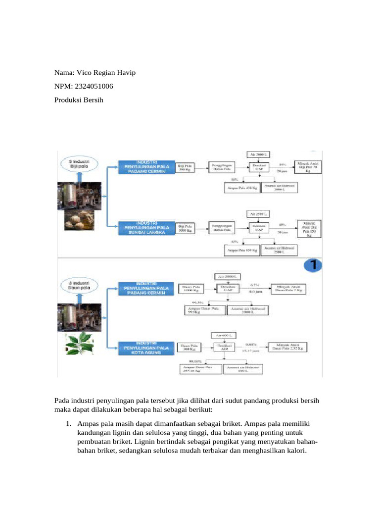 Vico Regian Havip - 2324051006 - Produksi Bersih - Penyulingan Atsiri Pala | PDF