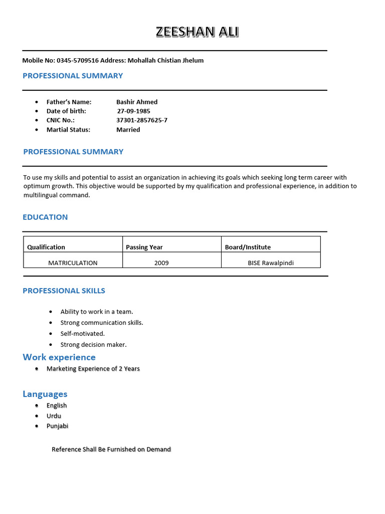 Zeeshan CV | PDF