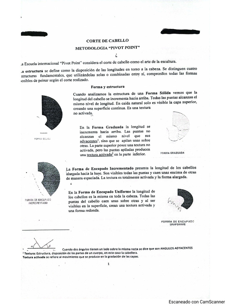 Corte. Metodología Pivot Point | PDF