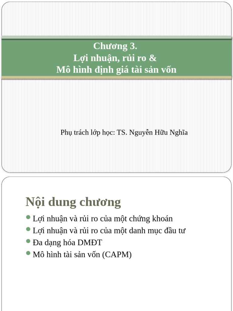 Chapter 3 Loi Nhuan, Rui Ro Va Mo Hinh Dinh Gia Tai San Von | PDF