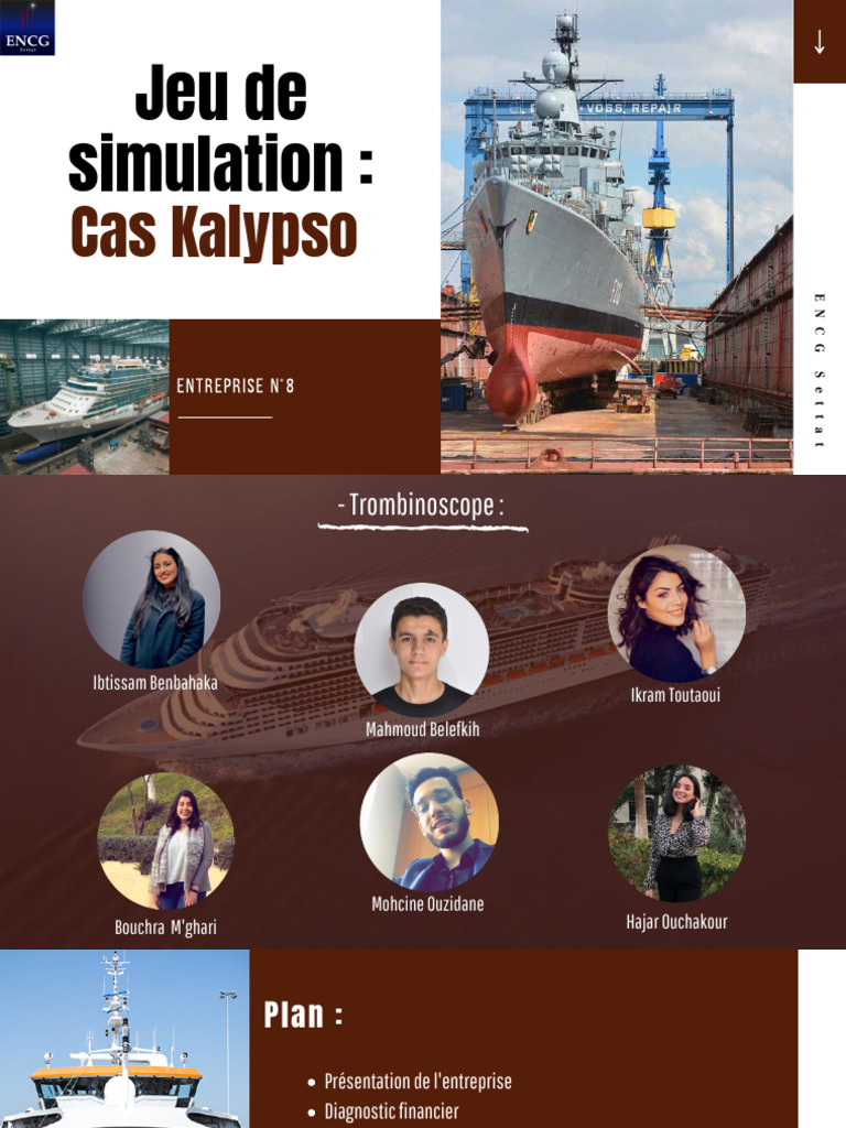 Diagnostic Interne Kalypso | PDF