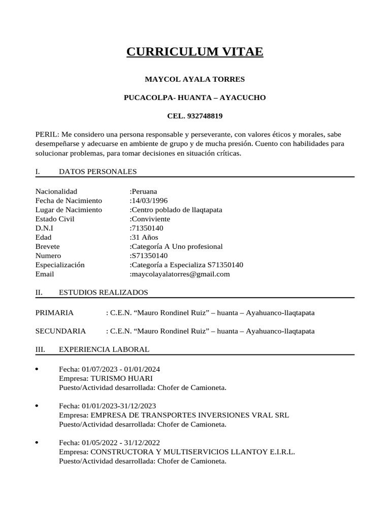 Curriculum Vitae Maycol | PDF
